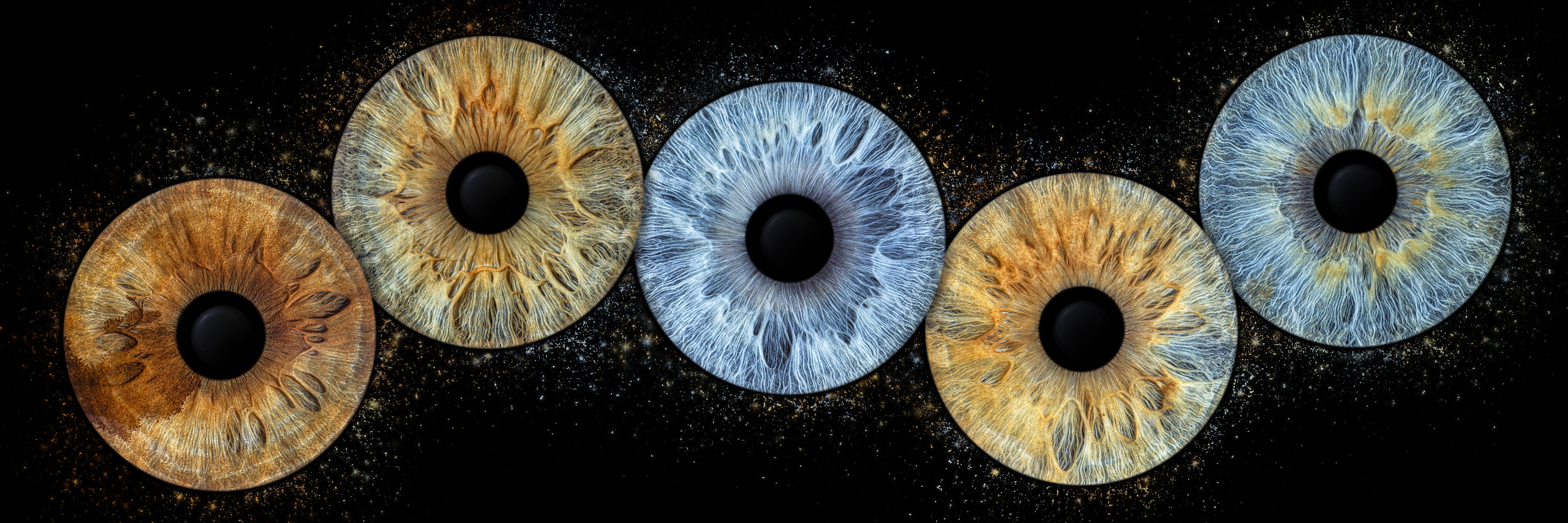 IRIS PROJECT: The Revolution of Human Photography by Kollektiv-Lumen – COOPH