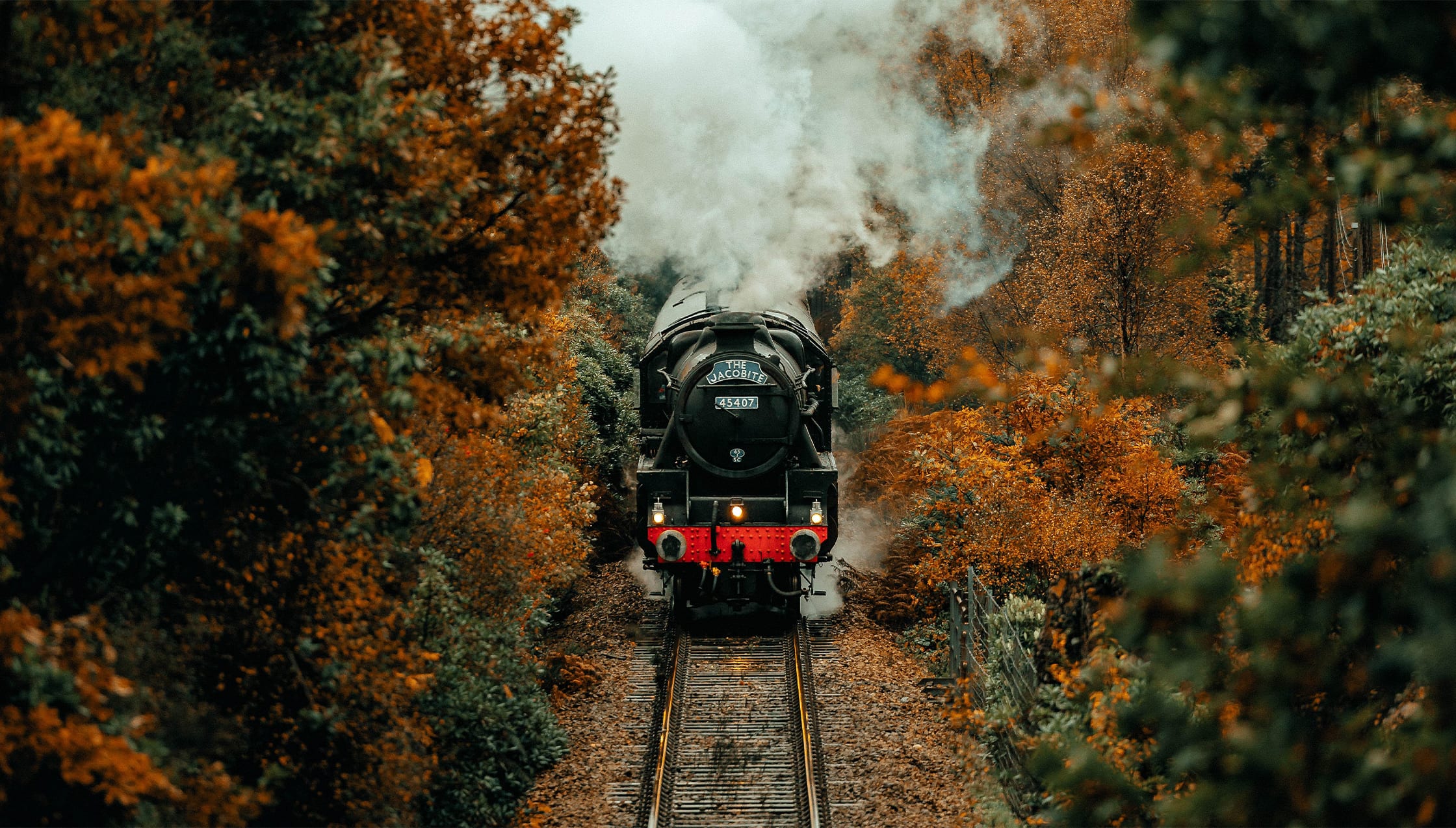 Ellis Reed: Capturing Moments and Creating Visual Stories in Bath, UK ...